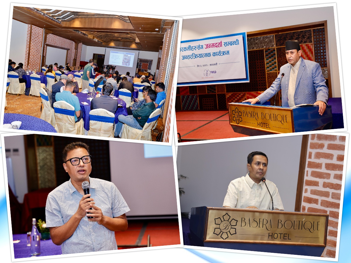 Local Media Publication Pvt. Ltd.